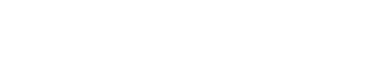 Tribalco - Trusted Partner for Global Integrated Technology Solutions